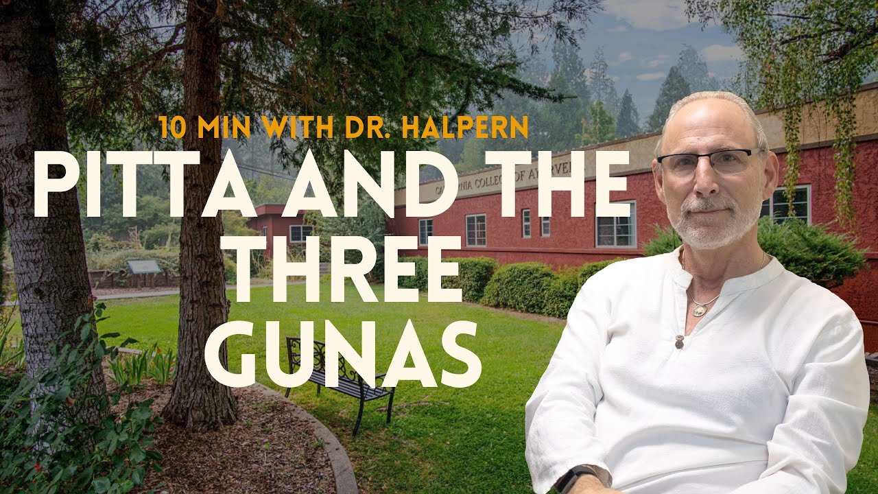 Pitta and The Three Gunas | 10 Minutes with Dr. Marc Halpern