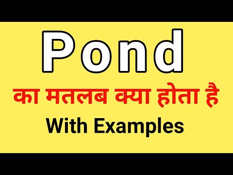Pond Meaning in Hindi | Pond ka Matlab kya hota hai | Word Meaning English to Hindi