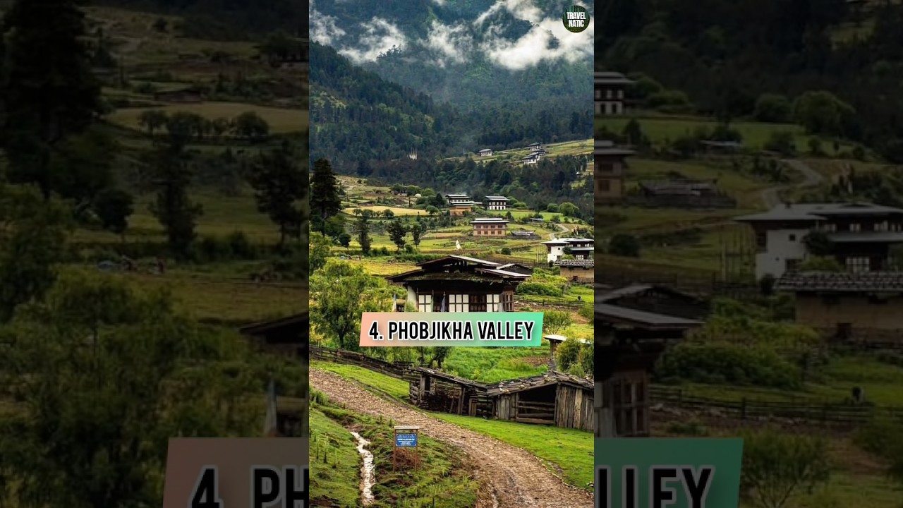 TOP 5 Must Visit Places In Bhutan 2023 | Travelnatic