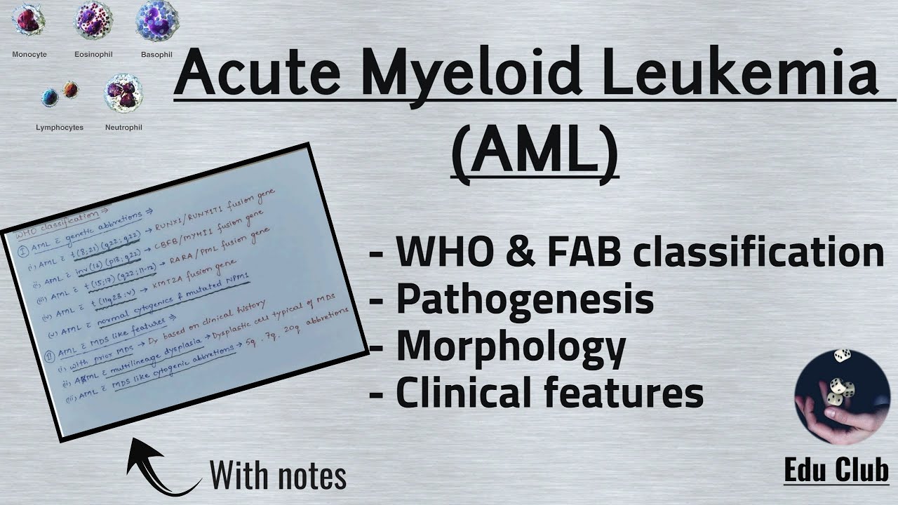 Understanding Acute Myeloid Leukemia: Classifications, Pathogenesis ...