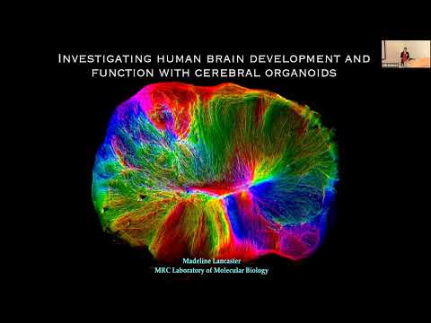 Madeline Lancaster – Ahead of the Curve: Women Scientists at the LMB