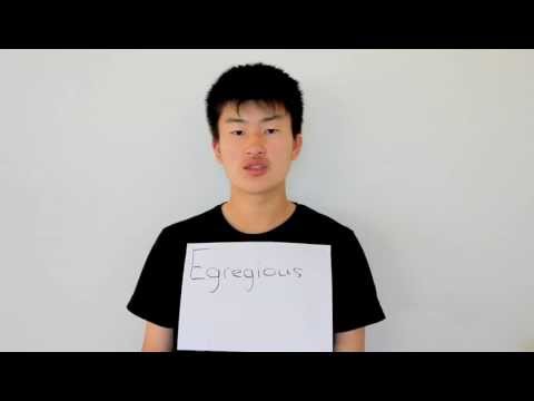 The Y.K. Dictionary - Egregious