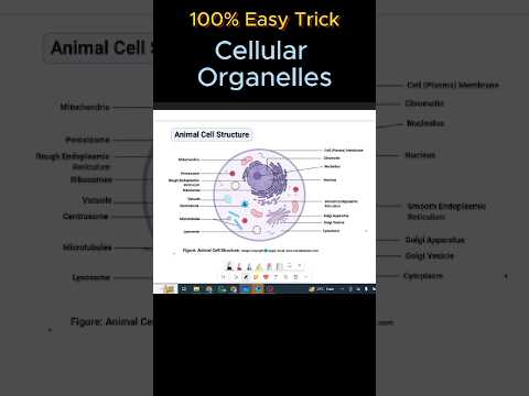 Remember Cellular Organelle in 48 secs