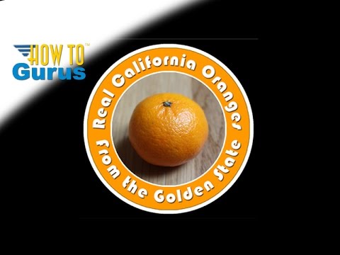 How You Can Add Logo Text in a Circle with Photoshop Elements