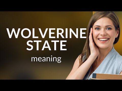 Wolverine state — meaning of WOLVERINE STATE