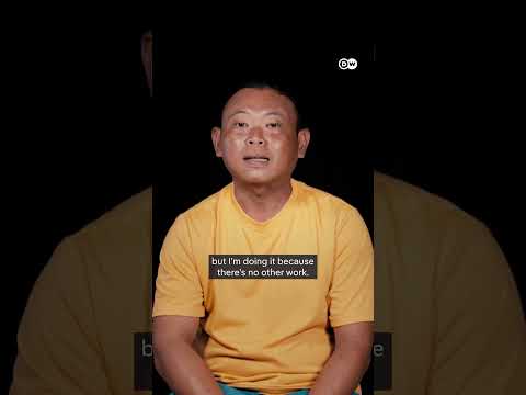 Illegal mangrove logging in Indonesia | DW Documentary