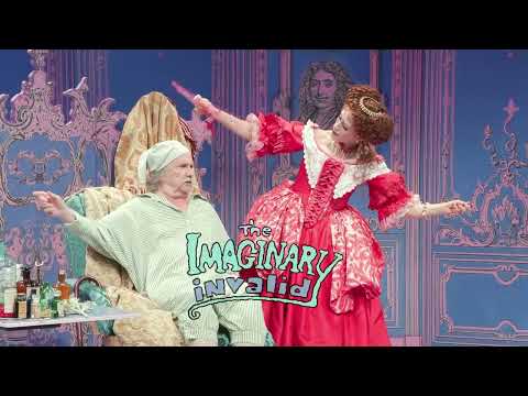THE IMAGINARY INVALID | A Sneak Peek with Press Quotes