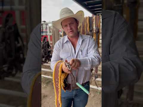 “They Tie A Strap Around Their Balls” | Oh Wait, No They Don’t | Horse Flank Explained