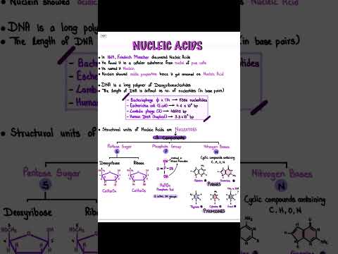 Nucleic Acids important