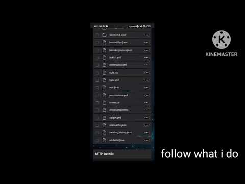 how to use whitelist in Minecraft hosting