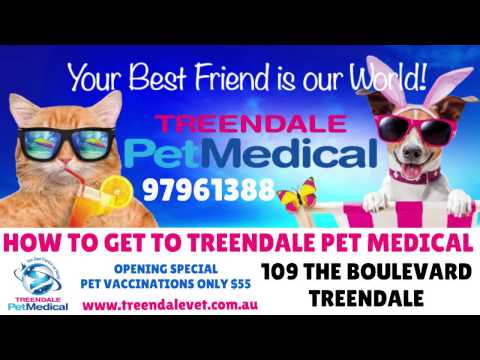 HOW TO GET TO TREENDALE PET MEDICAL + GOOGLE MAP