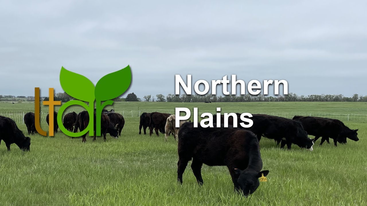 Northern Plains LTAR Site - Long-Term Agroecosystem Research Network