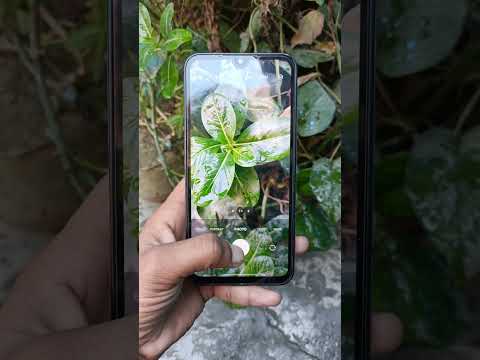 #Samsung galaxy F15 #camera test #best smartphone #viralshorts2024