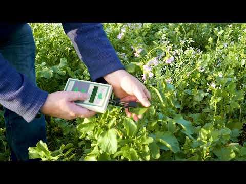 CL-01 Chlorophyll Content Meter | Hansatech Instruments Ltd