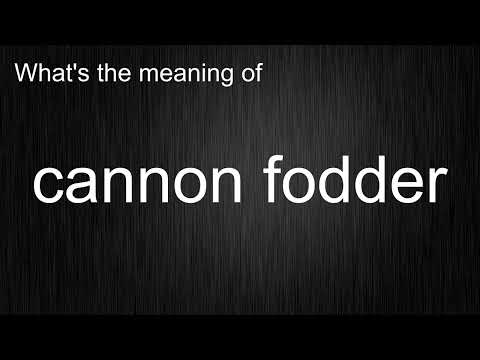 What's the meaning of "cannon fodder", How to pronounce cannon fodder?