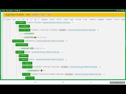 Using the yseq clade finder and discover.familytreedna.com tools (with Iloveyourgenes)