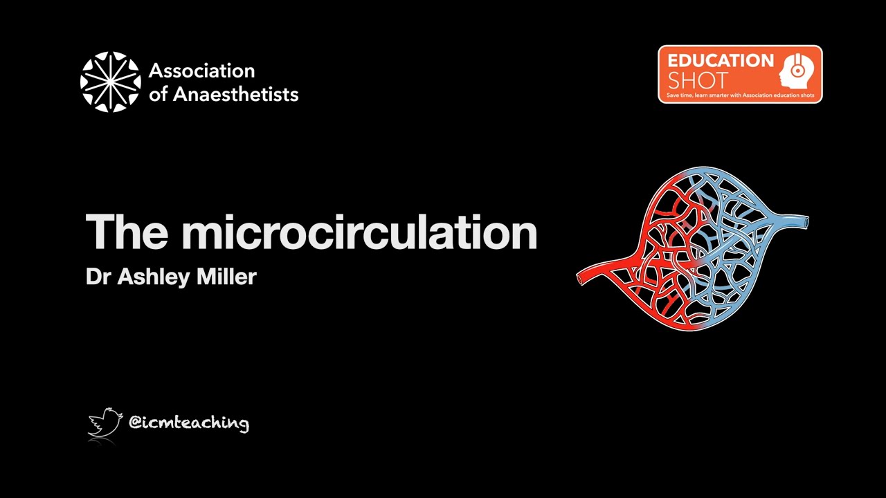 Microcirculation