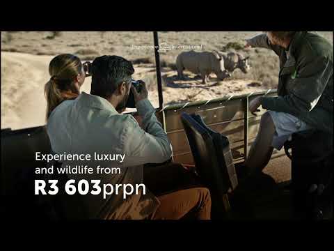 Safari Serenity Staycation – Experience Luxury and Wildlife!