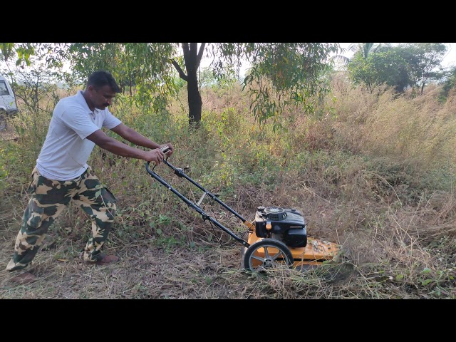 Wheel String Trimmer mower - Lawncare Wst Wheeled String Trimmer, 224cc ...