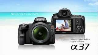 Sony Alpha SLT-A37 | Порівняй ціни на Hotline.ua | Фотоапарати