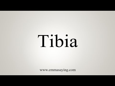 How To Say Tibia