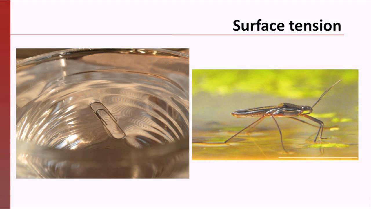 Problem Solving Process