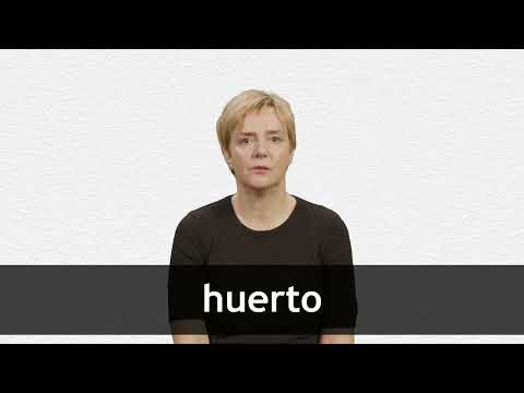 English Translation of “HUERTO” | Collins Spanish-English Dictionary