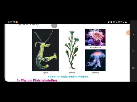Class 11 Biology || New course 2025 || Chapter #1 ||Lecture #5 ||