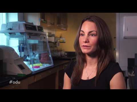 ODU Graduate School: Amanda Laverty