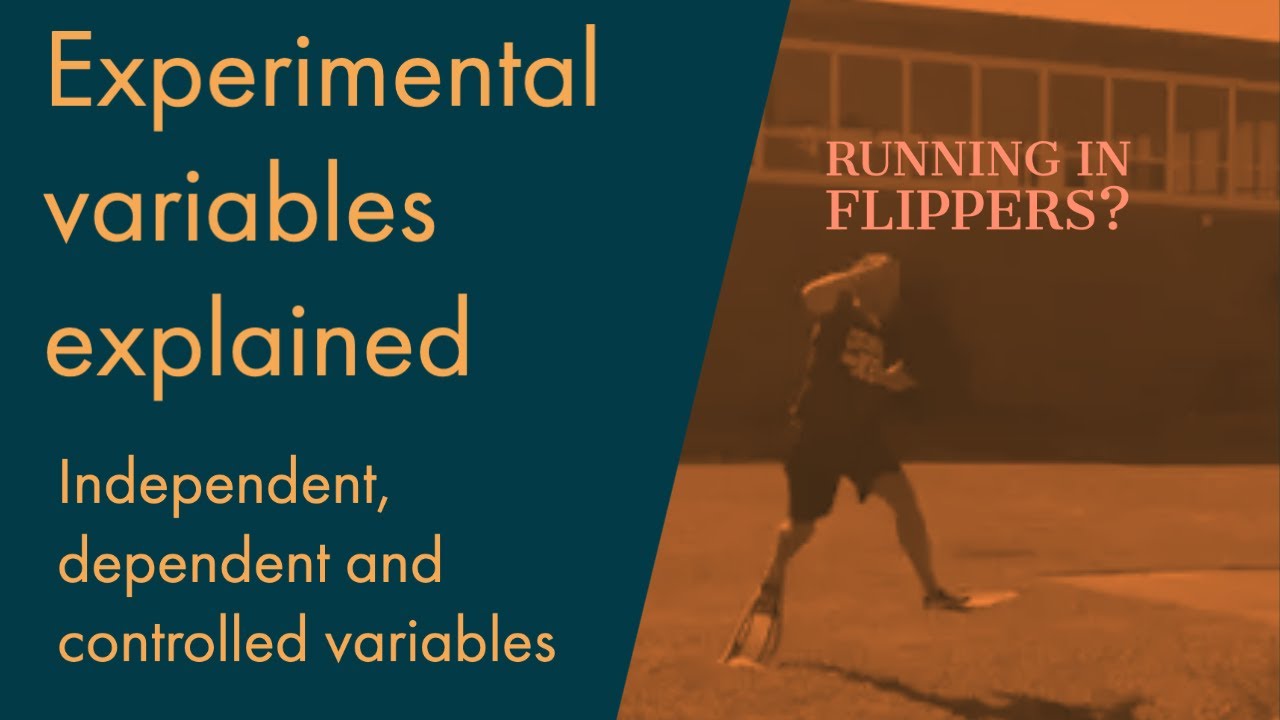 What are experimental variables?