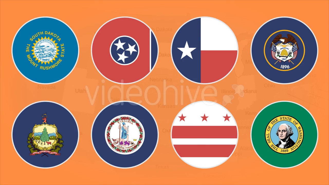 Flat Flag Icons US States