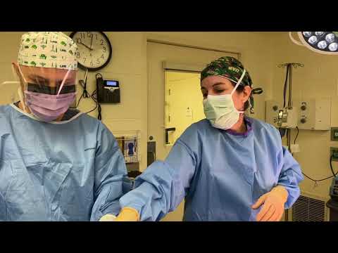 Dina DeMarco Overview of UAB Advanced Surgical PA Workshop