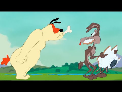 Funny Moments with Wile E. Coyote | Looney Tunes Cartoons | Cartoon Network Asia