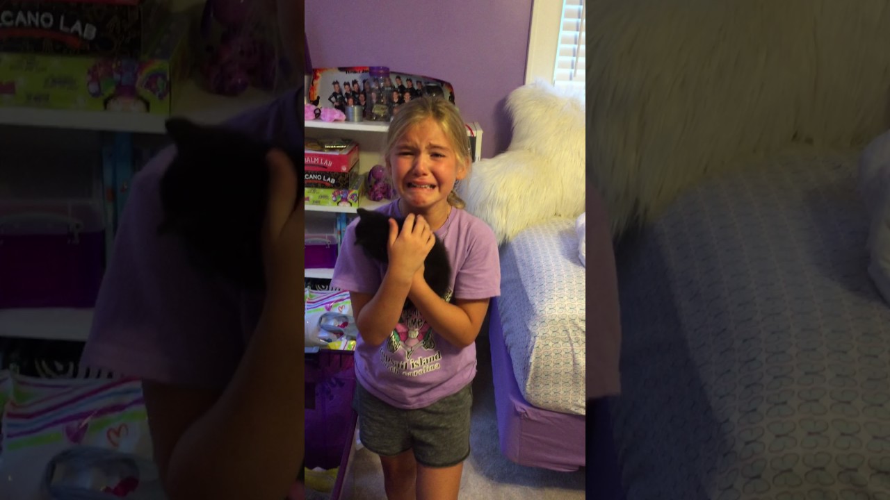 Adorable girl meets kitten for the first time and cries tears of pure joy!! - Marley & Ella