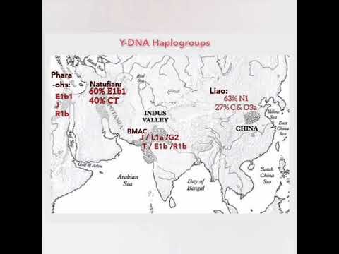 Haplogroup E-m35 E-m123 E-v13 Taur Thor Torcoth Tarquin Tarkhan