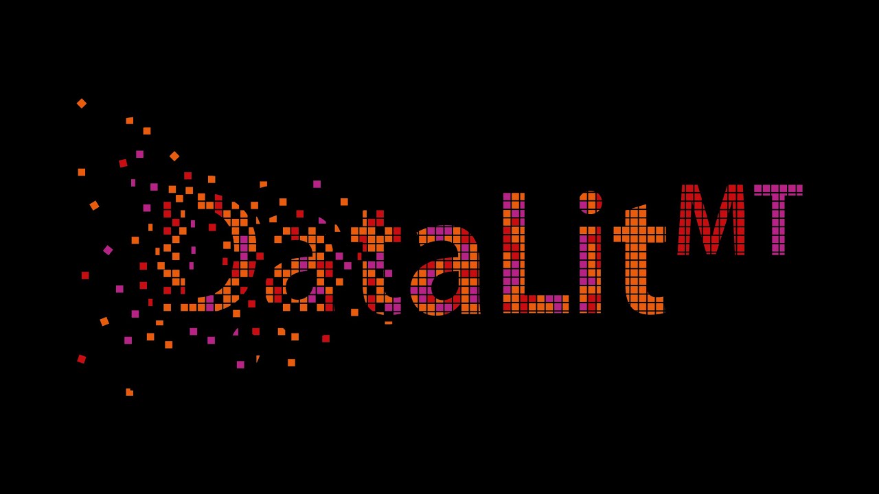 DataLitMT – Data Evaluation Basic Level