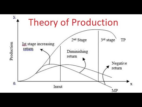 Managerial Economics: Chapter-3: Theory Of Production