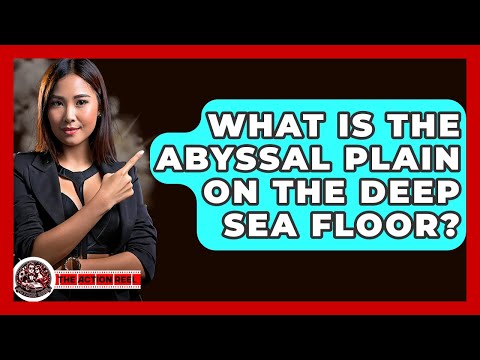 What Is The Abyssal Plain On The Deep Sea Floor? - The Action Reel