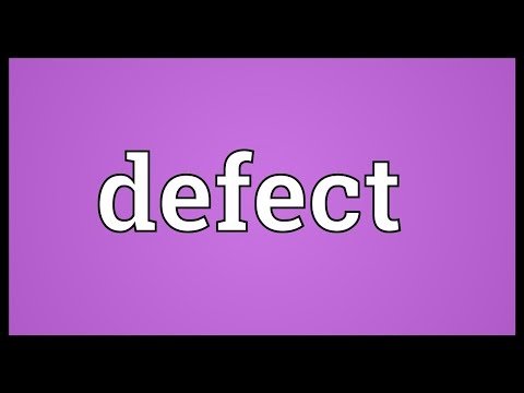 Defect Meaning