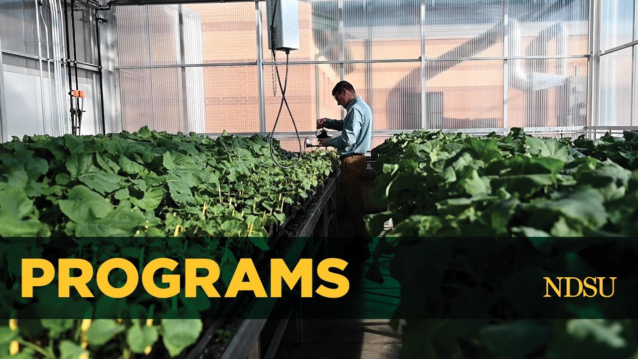 Programs: Crop and weed science