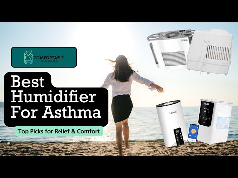 Best Humidifier For Asthma: Top Picks for Relief & Comfort