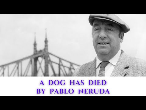 A Dog Has Died Poem by Pablo Neruda