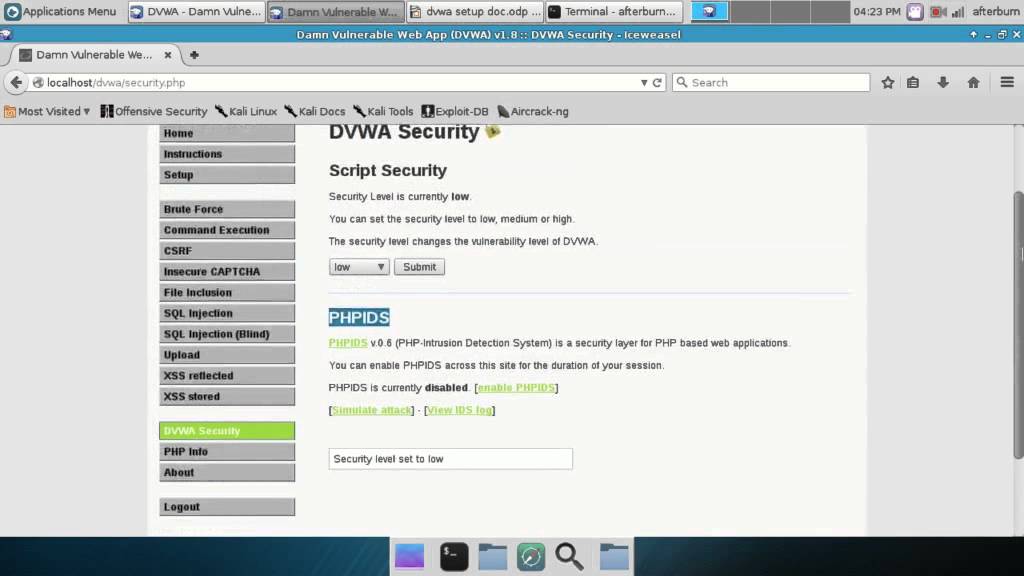 Website Hacking - Setting up DVWA and Introduction