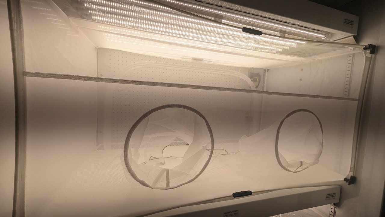 Conviron Entomology Chamber