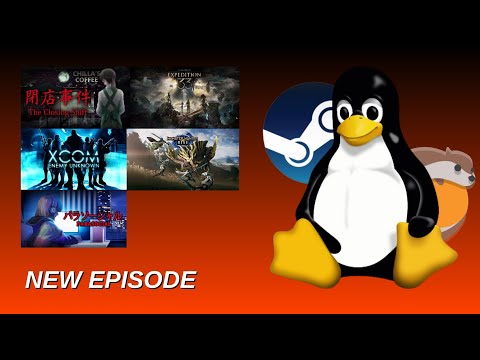 Linux Gaming in 2025 - Steam & Lutris Library NEW EPISODE