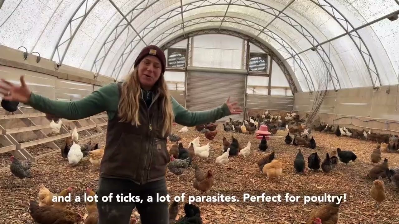 Pasture-Raised Laying Hen Update