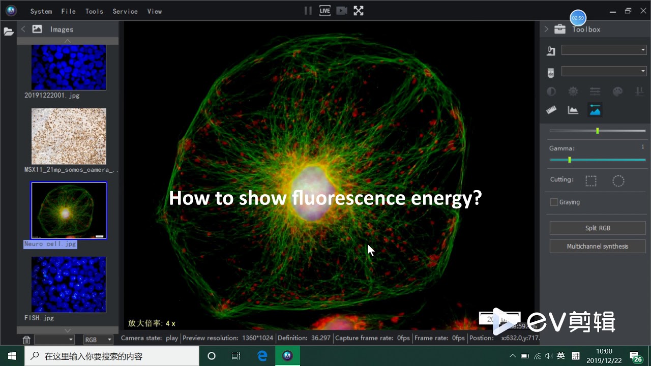 How to process and analysis fluorescence microscope images?
