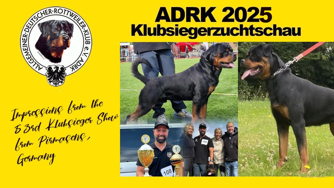 ADRK Klubsieger Show 2025