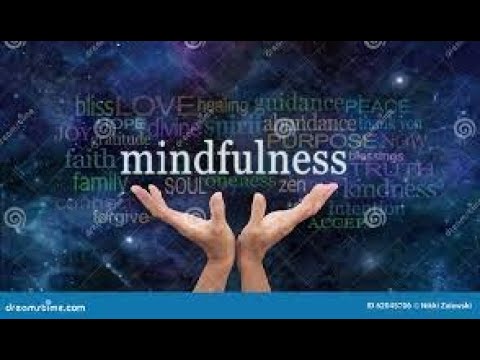 Meditation in the Government 2025