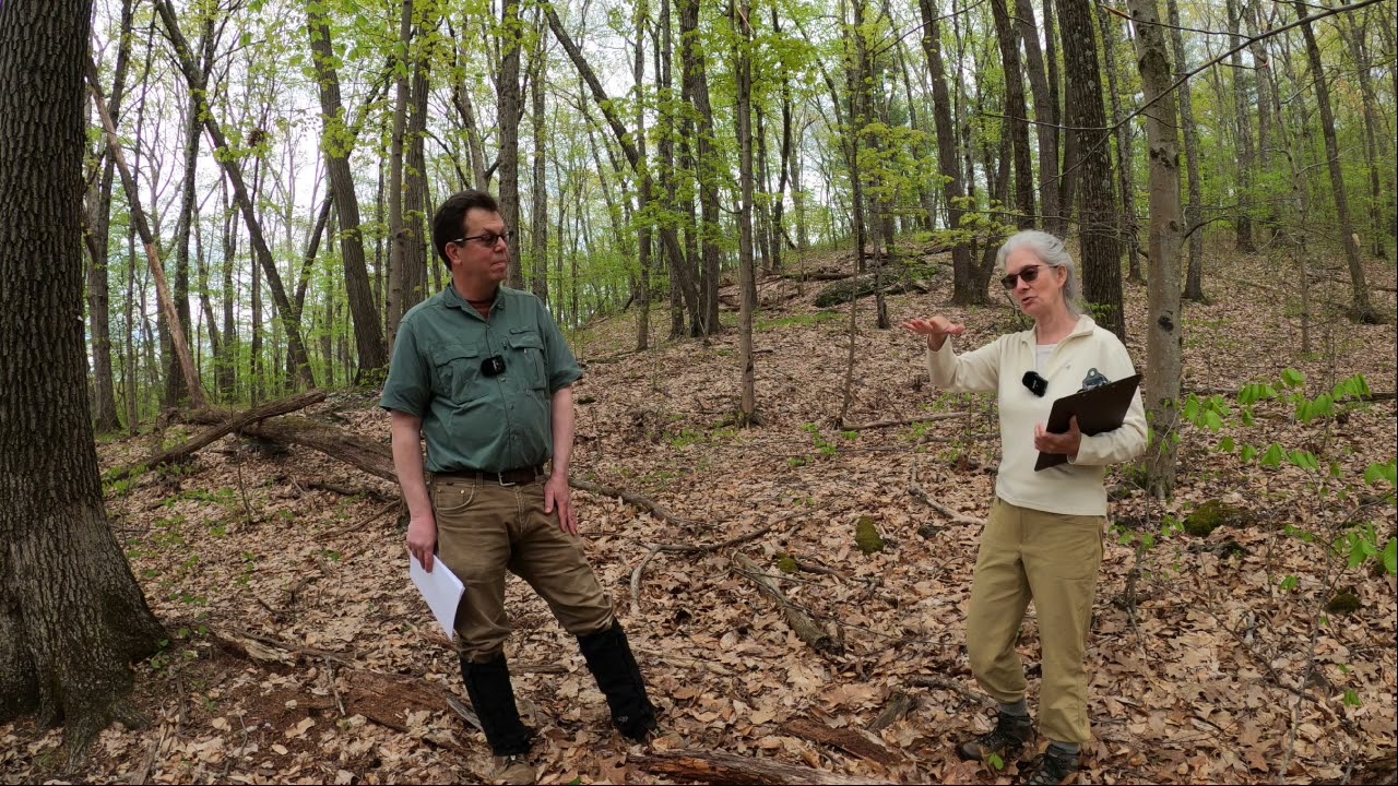 Forest Health Assessment